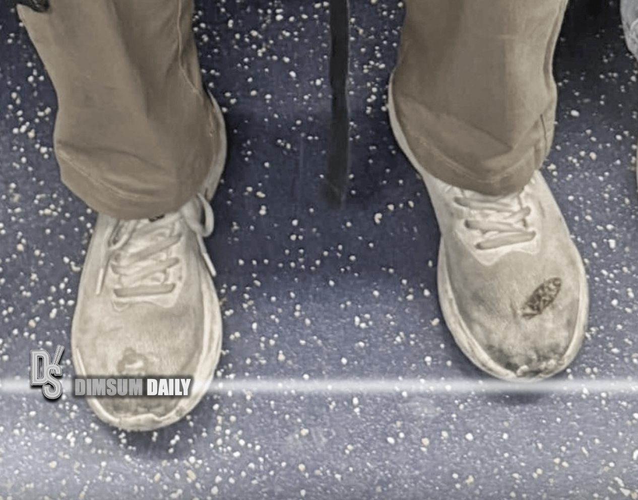 Internet users find humour in unusual cockroach encounter on MTR ...