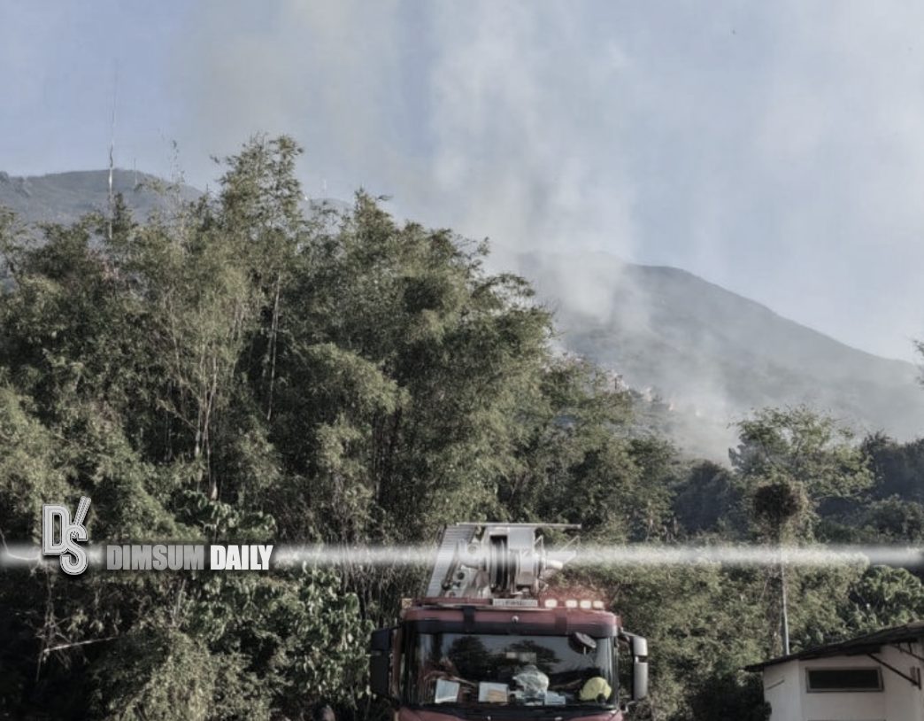 Hill fire in Pat Heung nearly extinguished as helicopter rescues ...