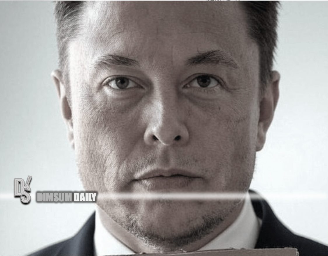 Elon Musk backs far-right AfD in Germany, urges pride in national culture