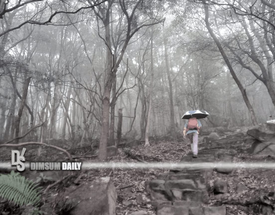 Tai Mo Shan sees temperatures plunge to 1-2°C