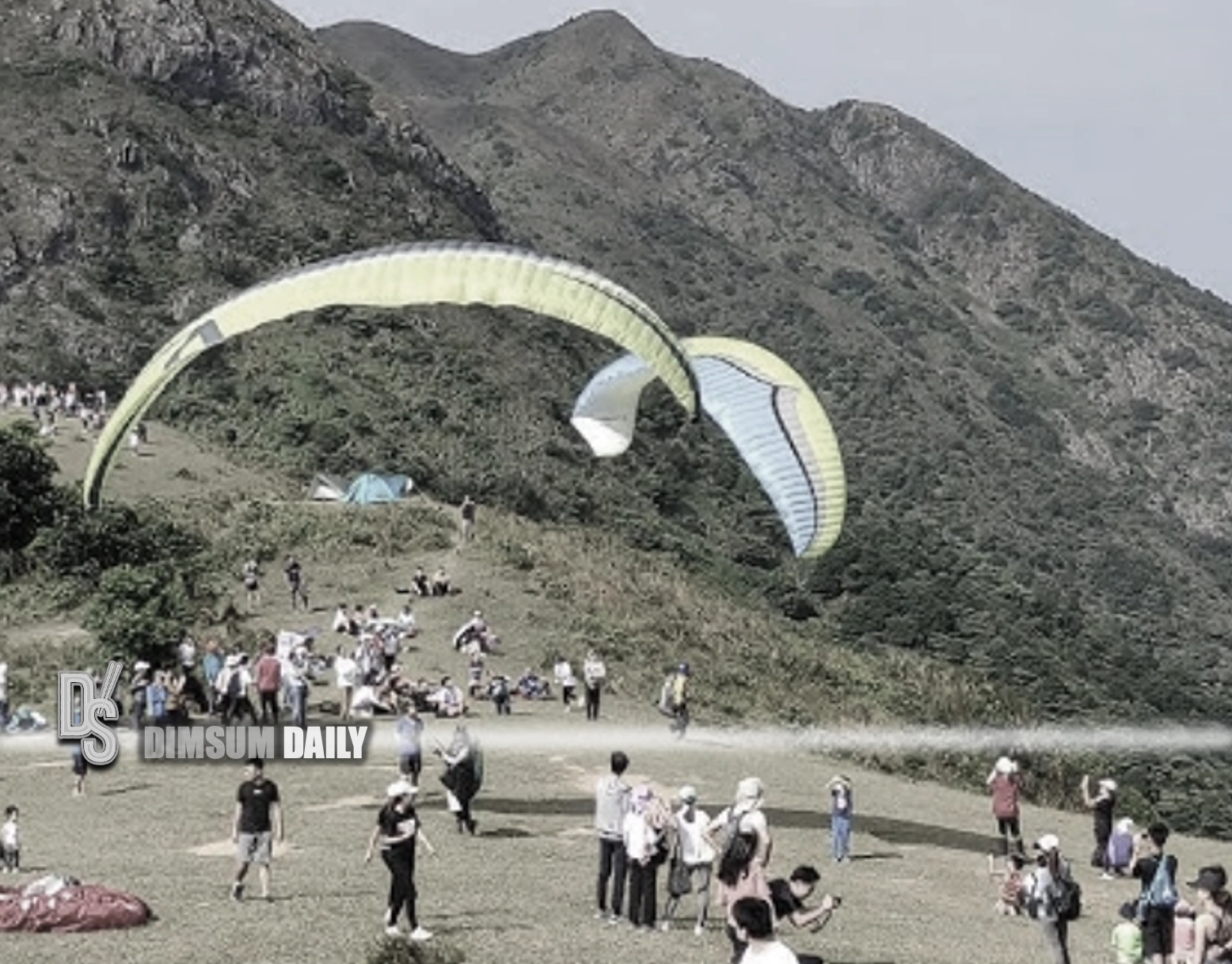 Police officer faces charges after paragliding accident injures ...