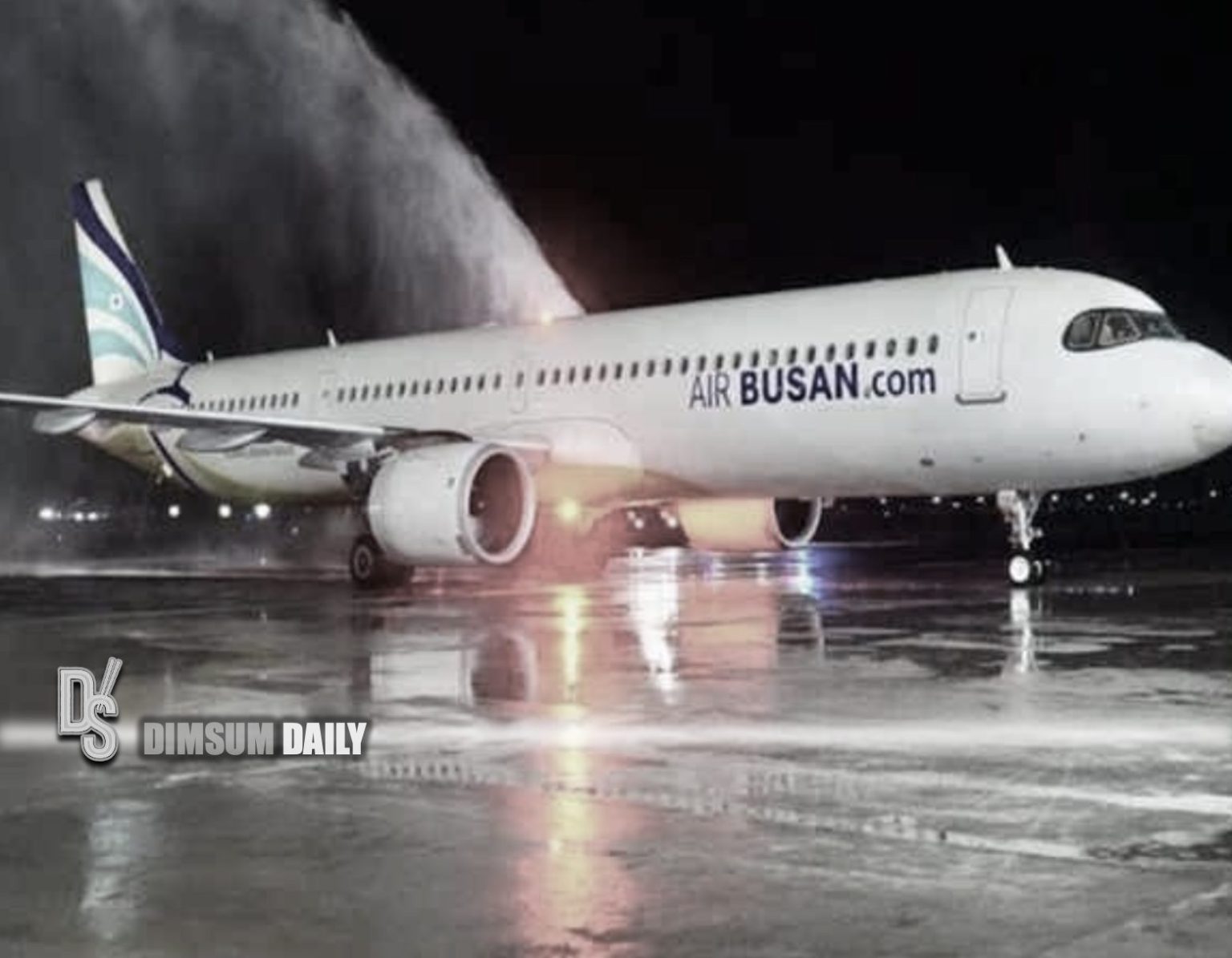 Hong Kong-bound Air Busan plane catches fire at South Korea’s Gimhae ...