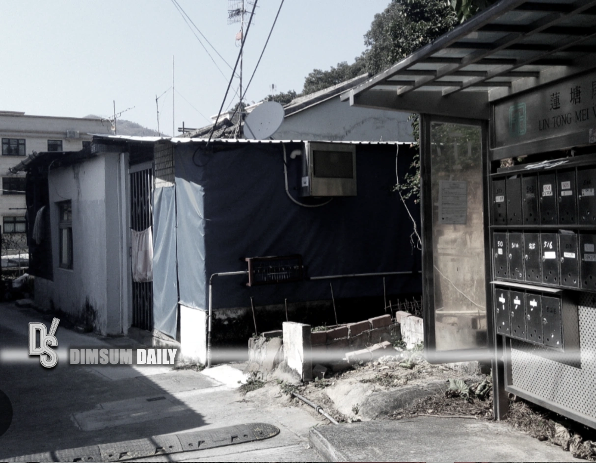 Lin Tong Mei-2 - Dimsum Daily