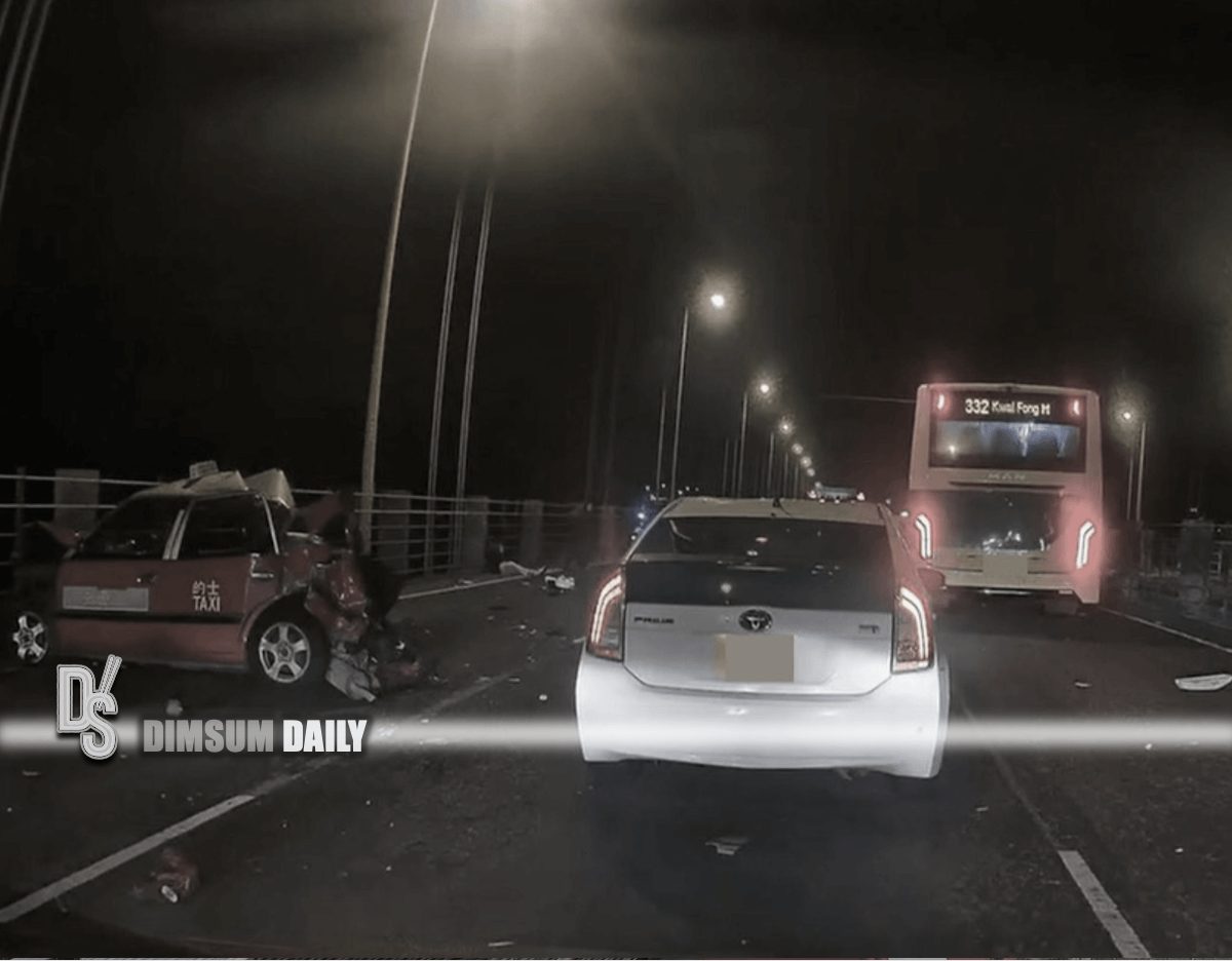 Tsing Ma Bridge-23432 - Dimsum Daily