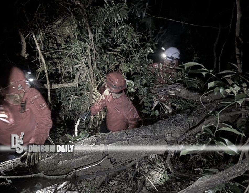 Search underway for missing 69-year-old man Choi Ko-king in Lantau ...