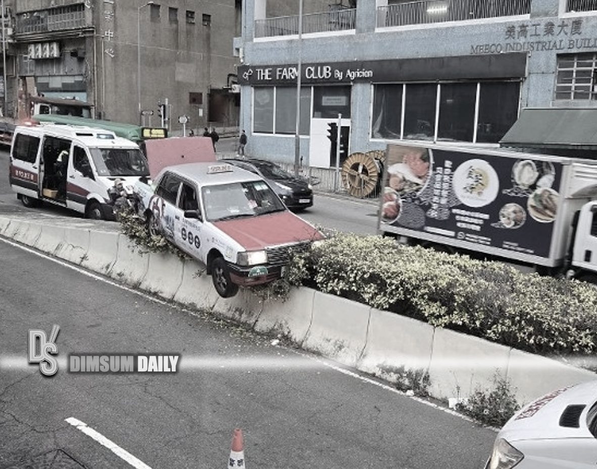 Taxi launches onto flower bed in Fo Tan