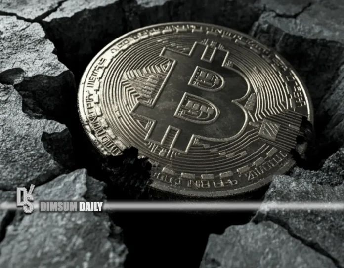 El Salvador halts daily Bitcoin purchases following US$1.4 billion IMF ...