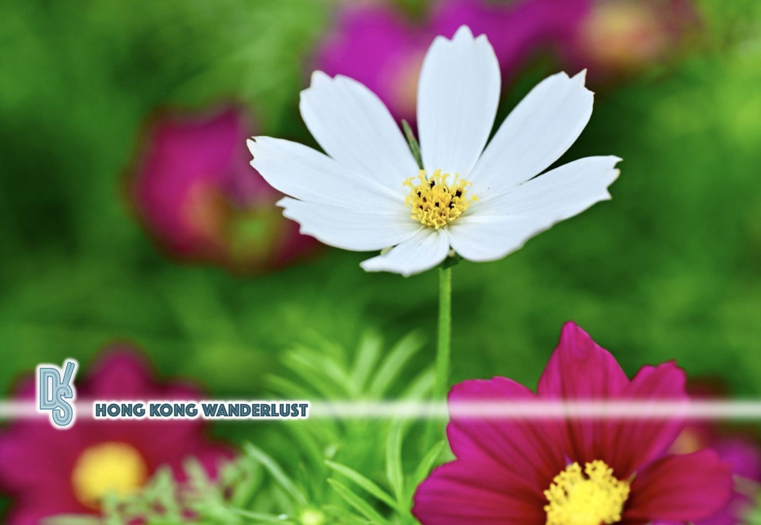 Hong Kong-flagged container "ASL Bauhinia" abandoned after fire and ...