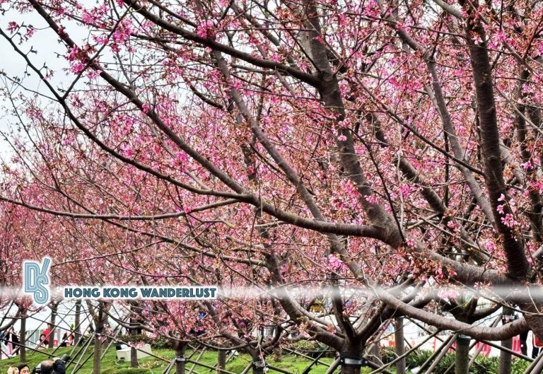 Chinese Mainland actor Liu Feng passes away at the age of 25 - Dimsum Daily