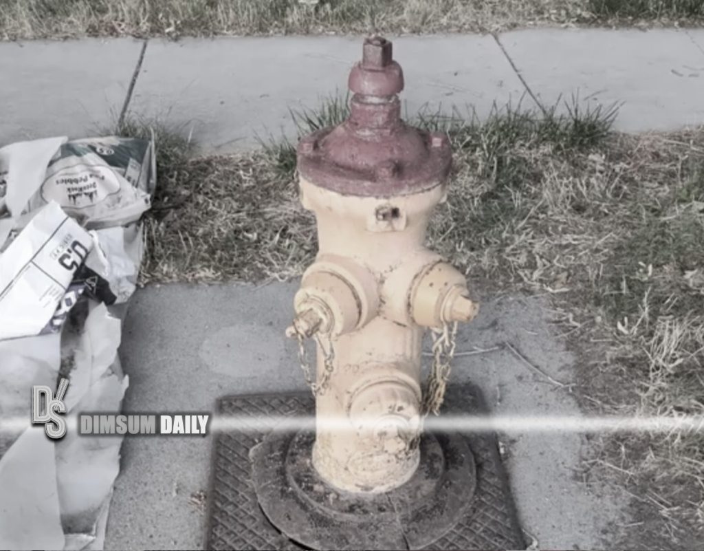 Over 1,000 fire hydrants in Los Angeles needed repair before January ...