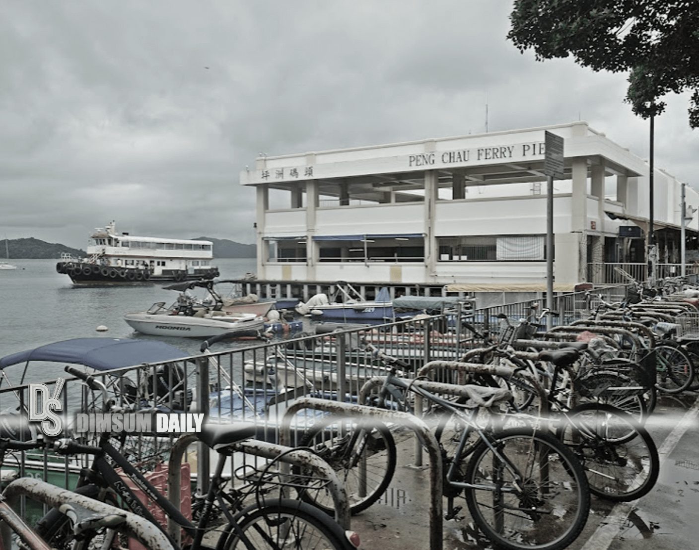Woman dies after falling into sea while boarding ferry at Peng Chau