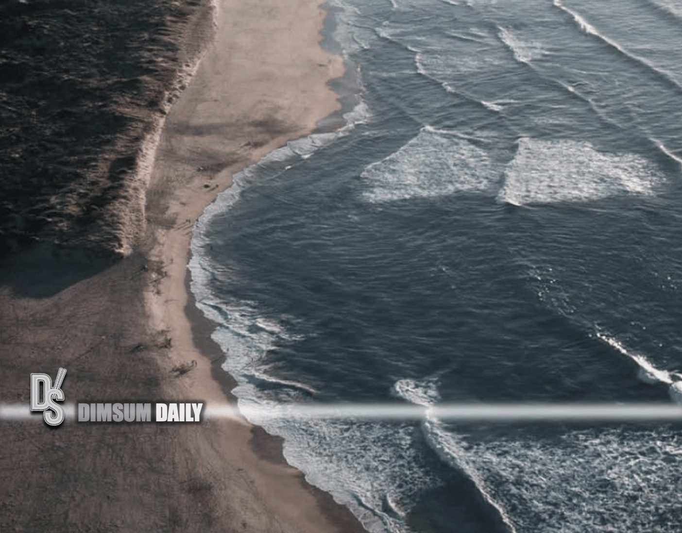 Mysterious sea foam causes illness and marine life casualties in South ...