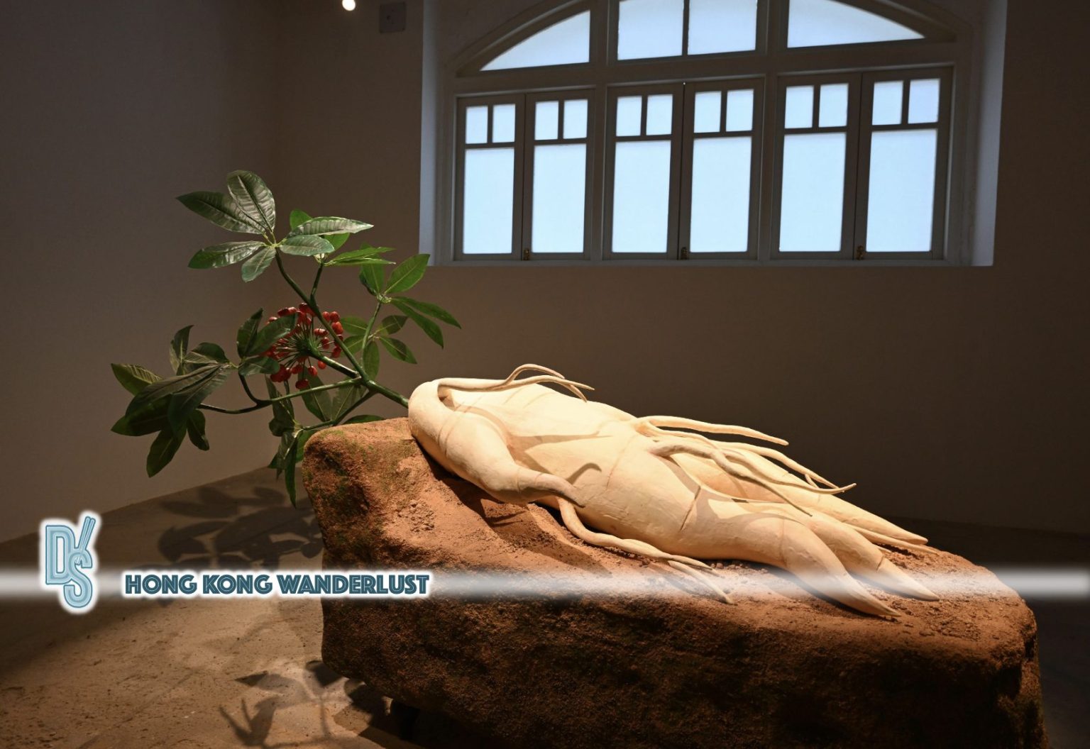 Clone Robotics unveils synthetic human prototype, sparking awe and unease