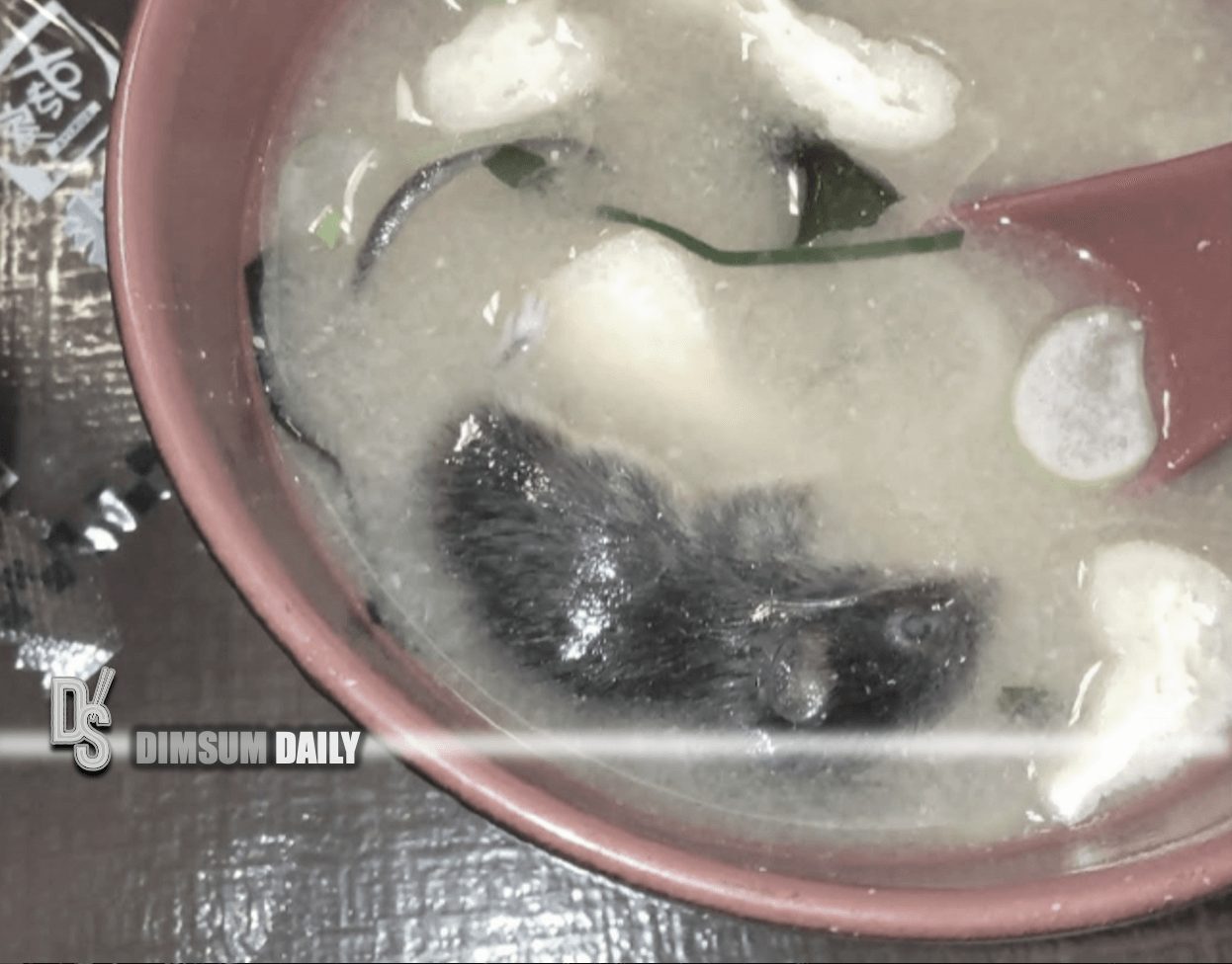 SUKIYA apologises after rat found in miso soup incident in Japan