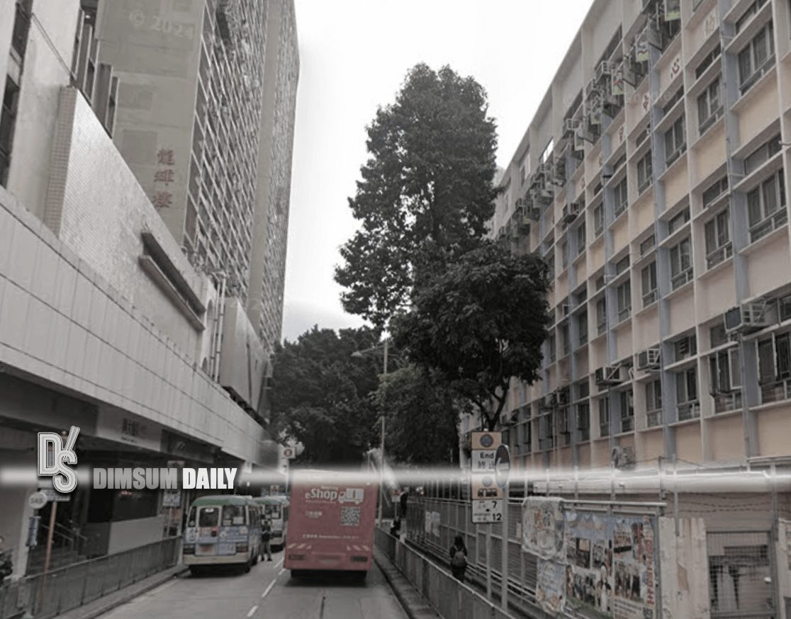Five-year-old boy found wandering in Wong Tai Sin, mother arrested for ...