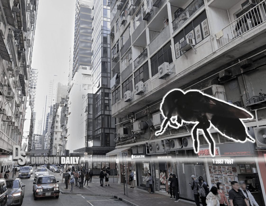 Swarm of bees causes panic in busy Tin Hau district at night