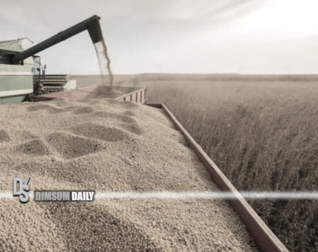 U.S. tariffs hit agricultural exports as China turns to Brazil for soybeans