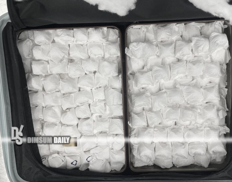 Thai smuggler jailed 24 months for smuggling 187 endangered parrot eggs ...