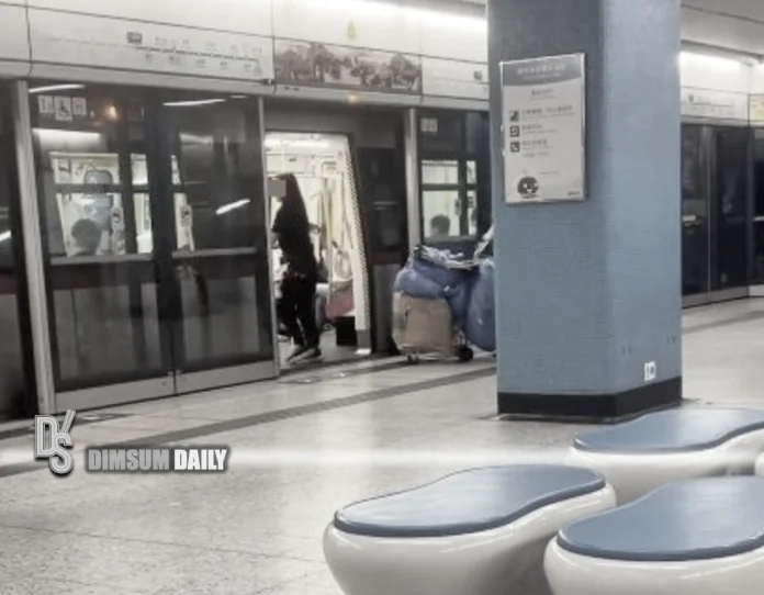 Viral video shows passengers pushing overloaded trolleys onto MTR train ...