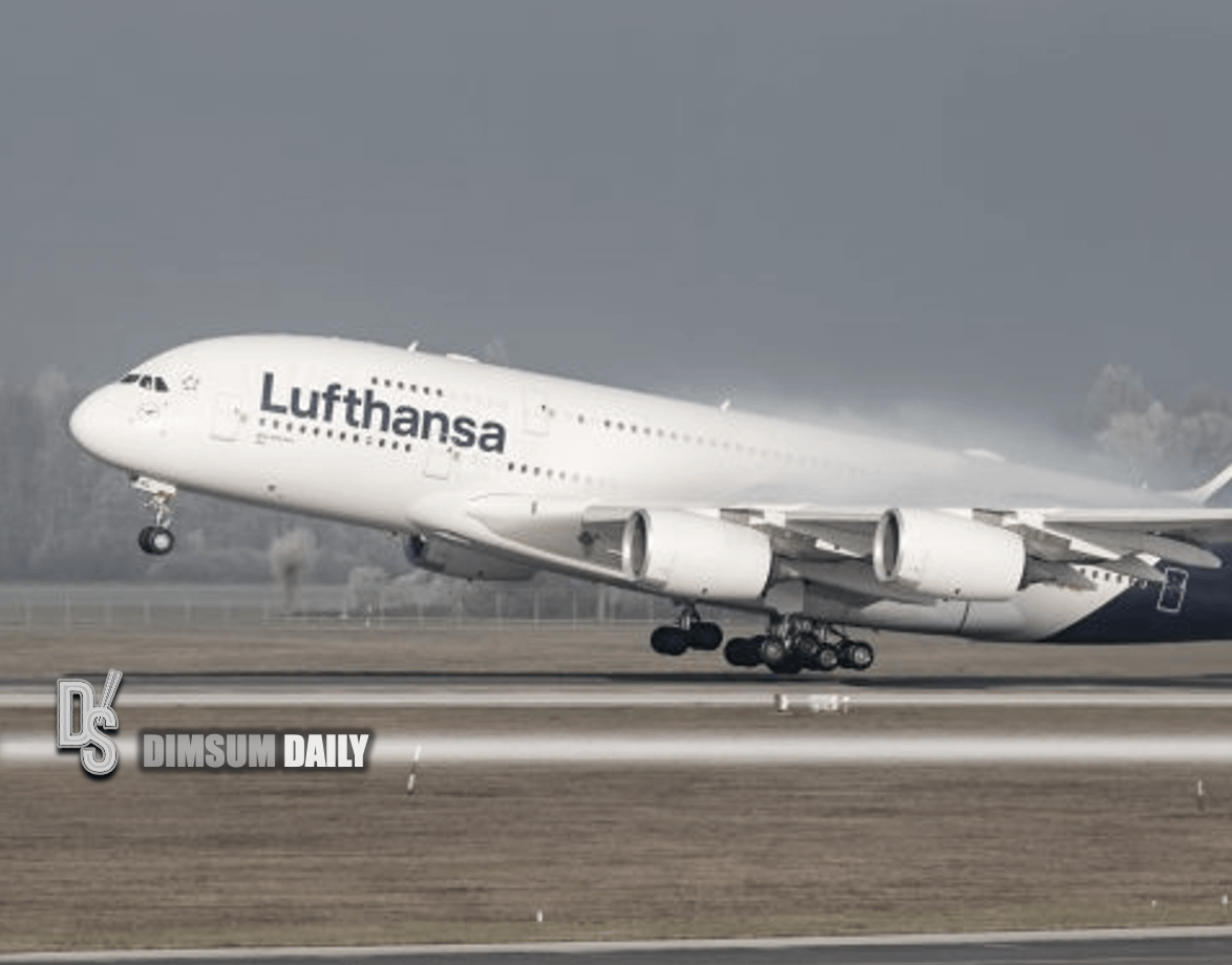 Lufthansa flight flew without pilot for 10 minutes after co-pilot fainted