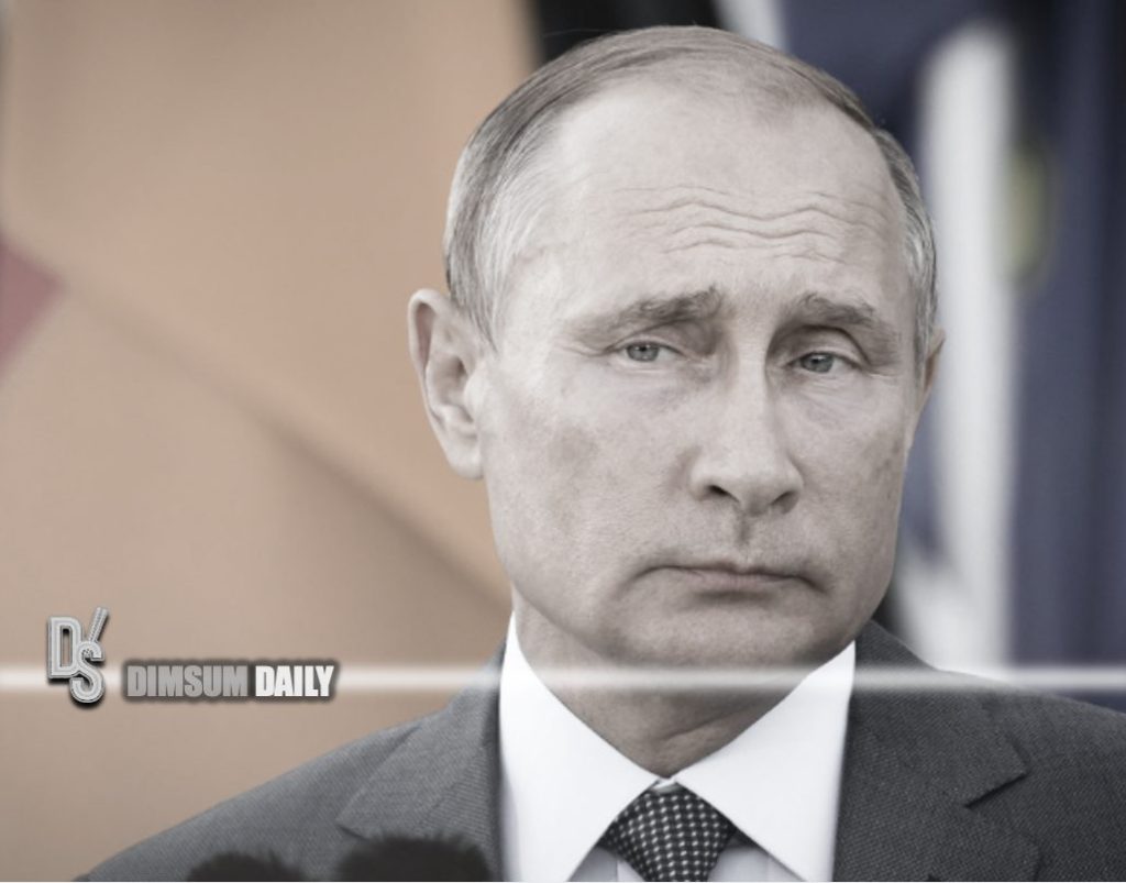 Putin announces Russian forces working on security buffer zone along ...