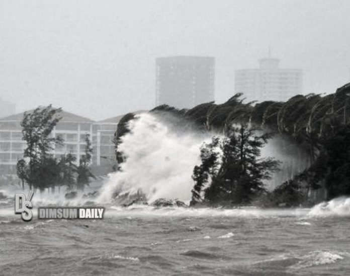 12 cargo ship crew members rescued as Typhoon Wutip batters South China ...