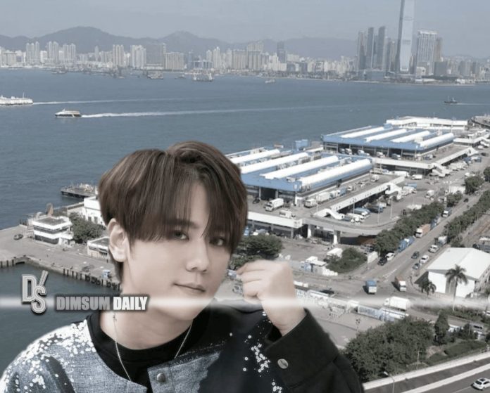 MIRROR member Keung To rescued after falling into sea near Western ...