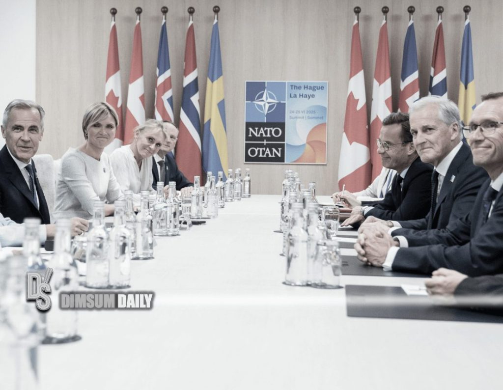 NATO leaders pledge 5% GDP investment in defence by 2035, back Ukraine ...