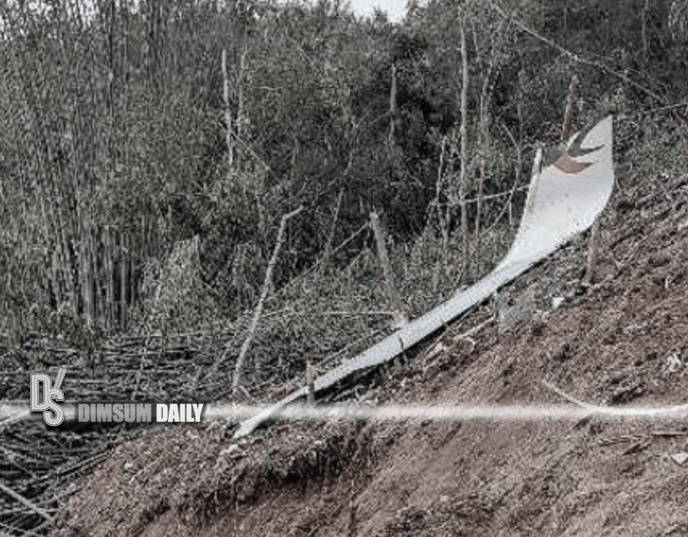 Annual investigation report of China Eastern Airlines flight MU5735 ...