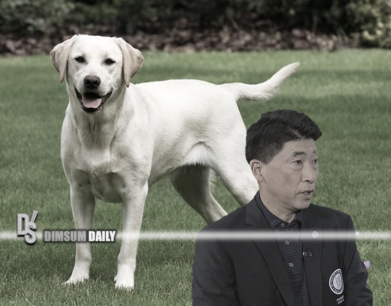 Dr. Kelvin Inge Shing-kon fined HK$8,000 for dog-related injury ...