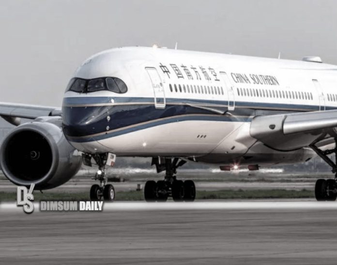 Southern Airlines pilot allegedly injures four and jumps to death