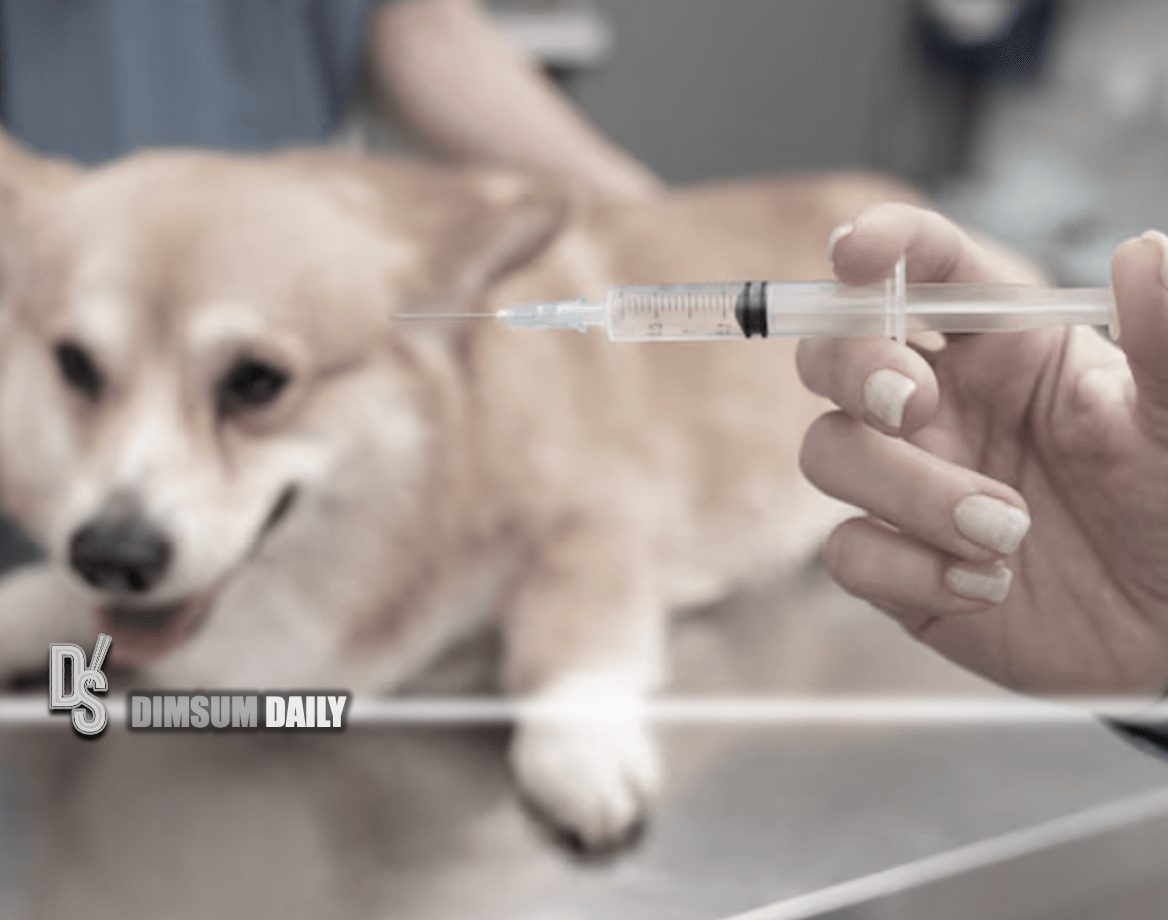 AFCD launches dog vaccination campaign at Hong Kong fishing ports
