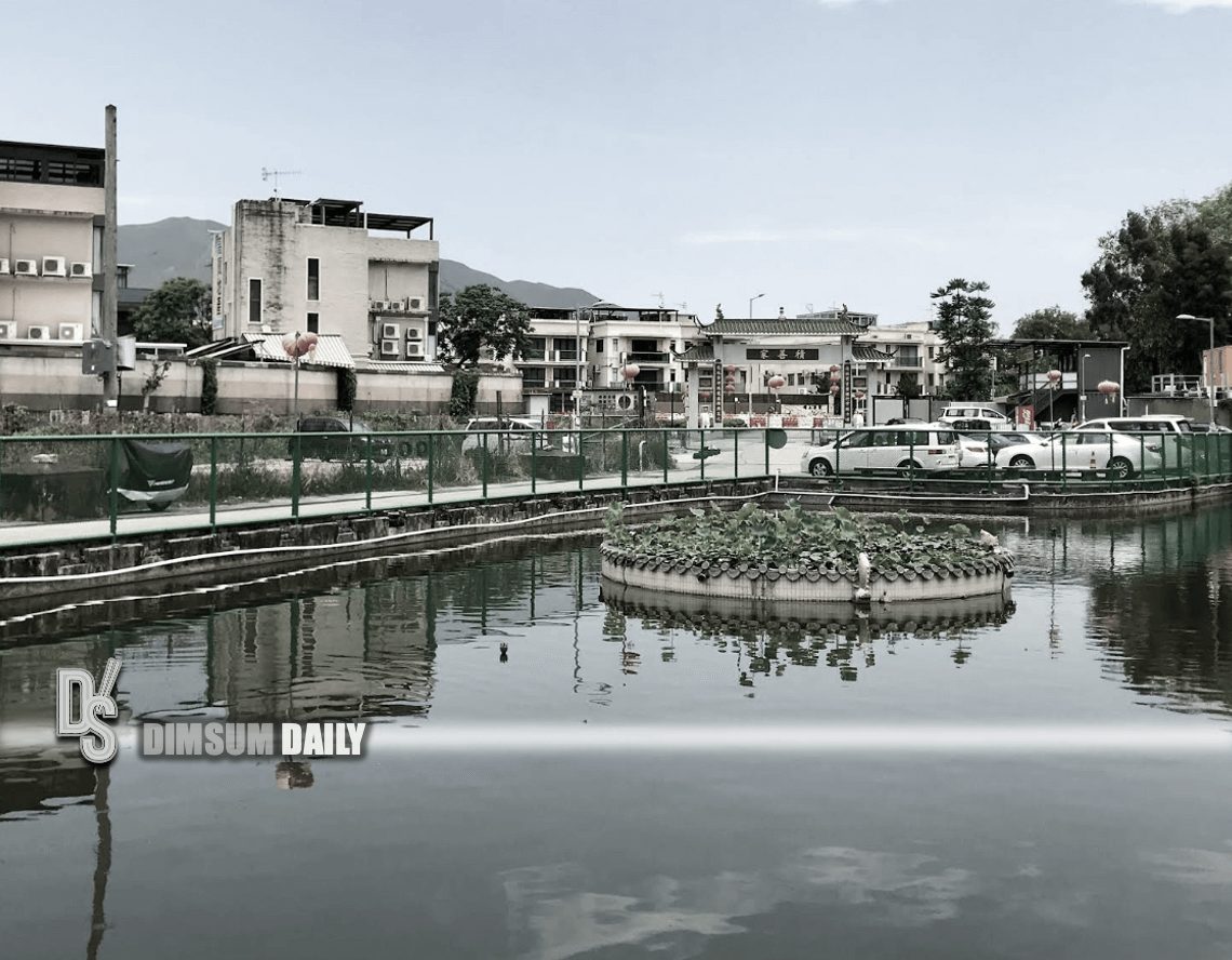 Elderly man rescued after becoming stranded in river near Kam Sheung Road