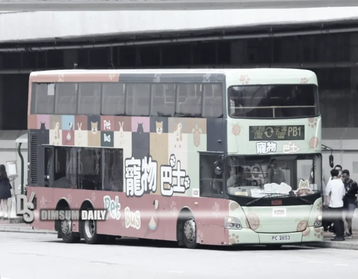 KMB expands pet-friendly bus service starting 19th July with new routes ...
