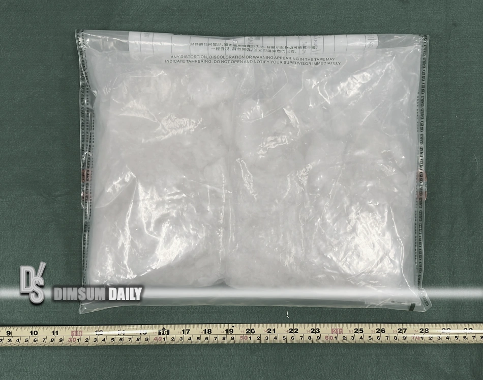 Hong Kong Customs seizes HK$1.1 million worth of meth concealed in baby ...