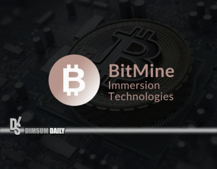 Bitmine Immersion Technologies (BMNR) stock surges as Ethereum reaches ...