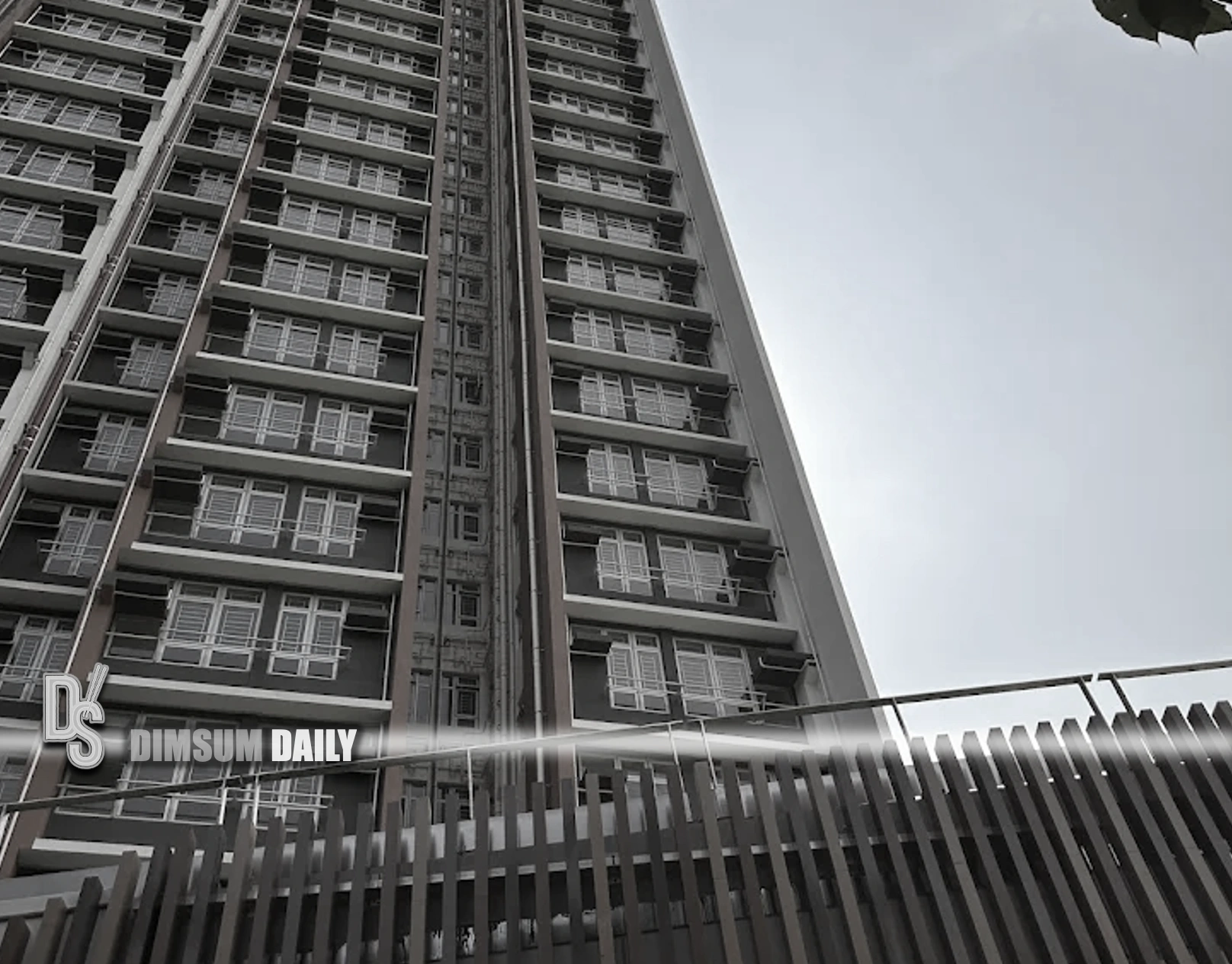 Ching Fu Court-1 - Dimsum Daily