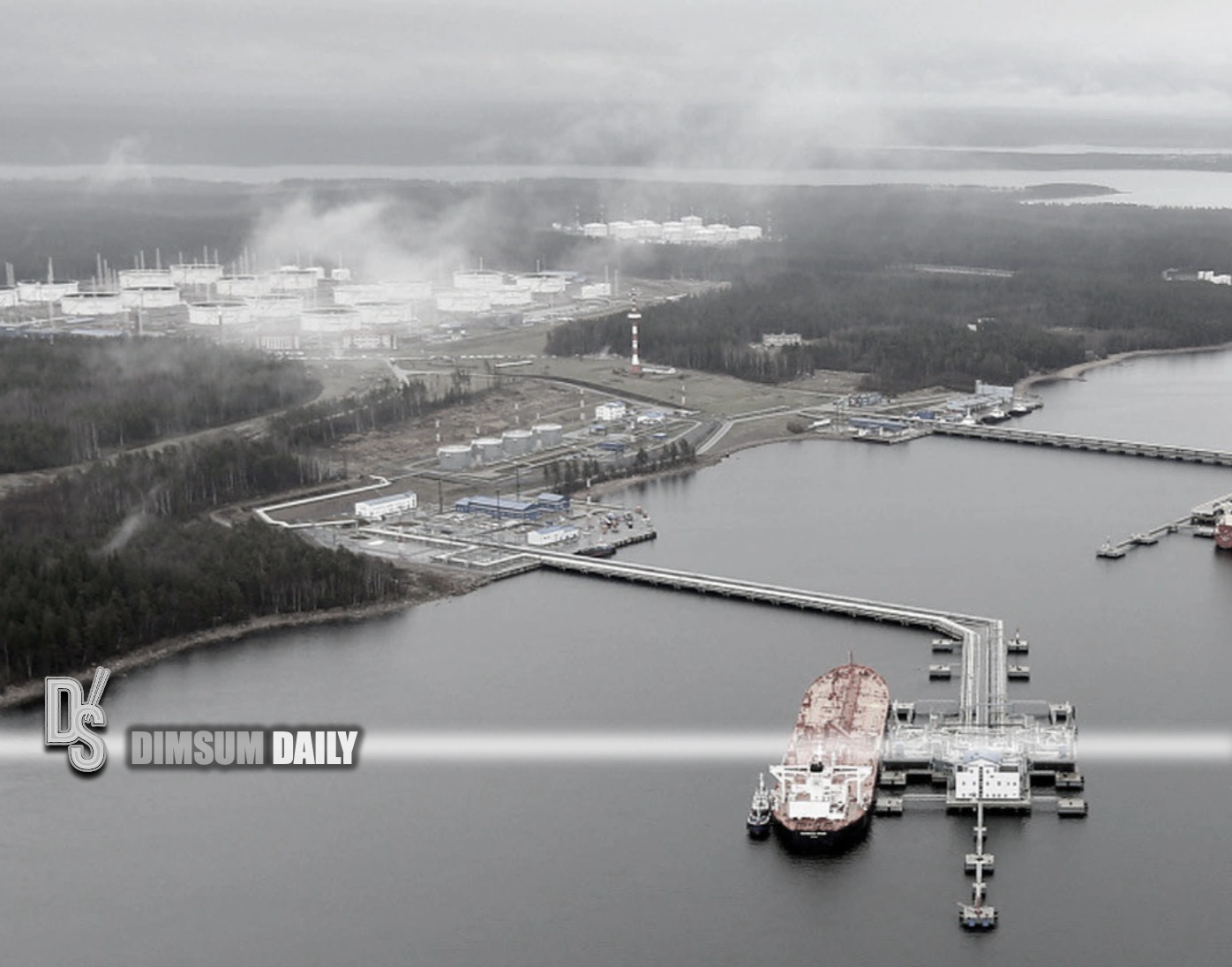 Ukrainian Security Service drones target Russia's Primorsk Port in oil ...