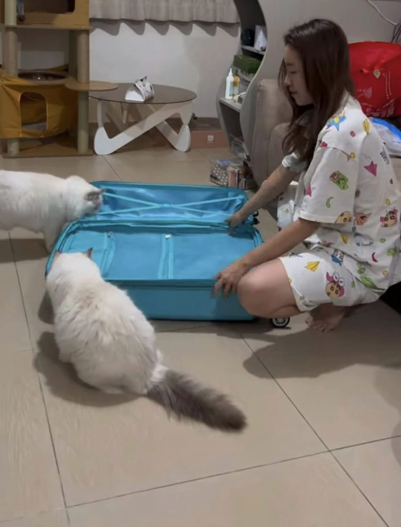 Former Miss Hong Kong 1st runner-up Maria Chung’s lavish duplex revealed