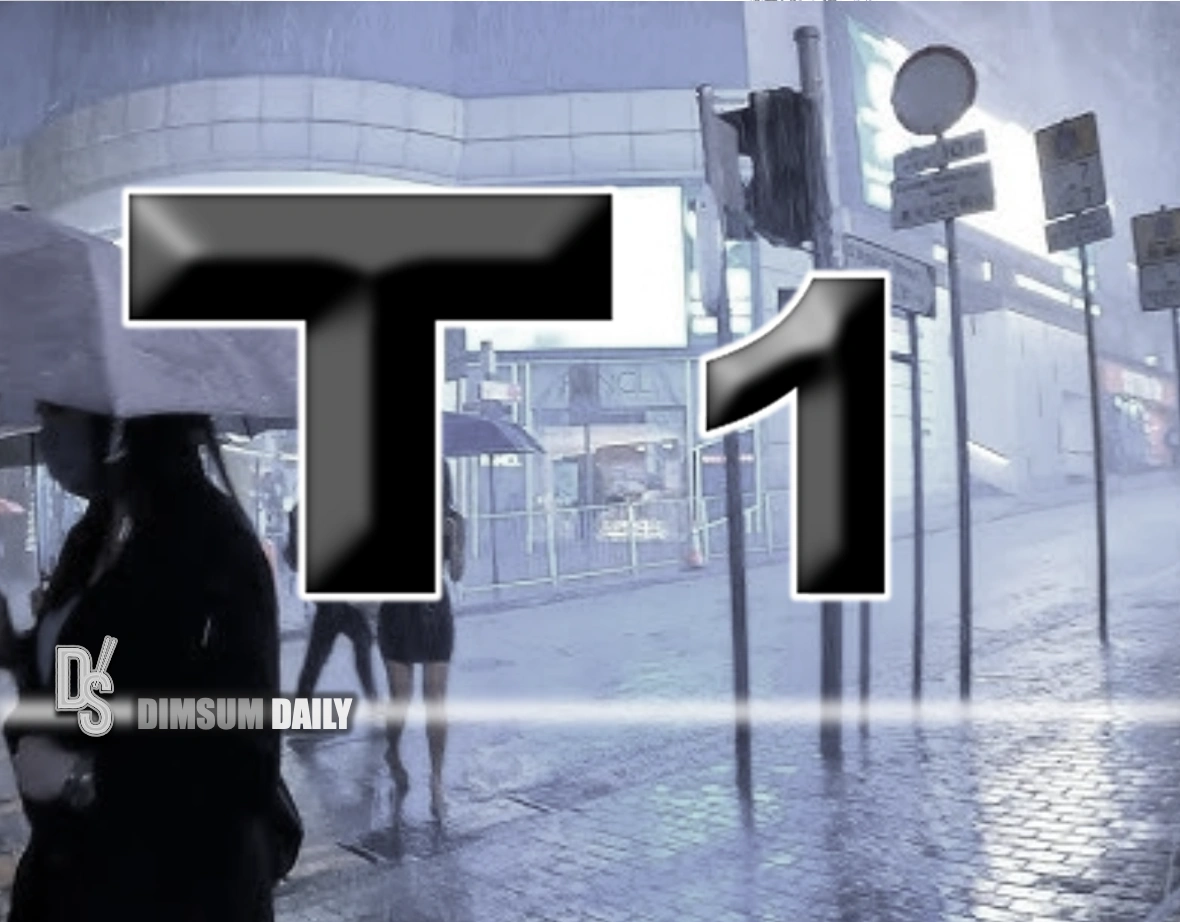 HK Observatory to issue Strong Wind Signal No. 3 tomorrow morning ...