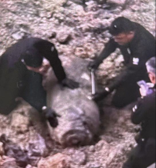 Quarry Bay bomb threat prompts overnight disposal operation, expanded ...