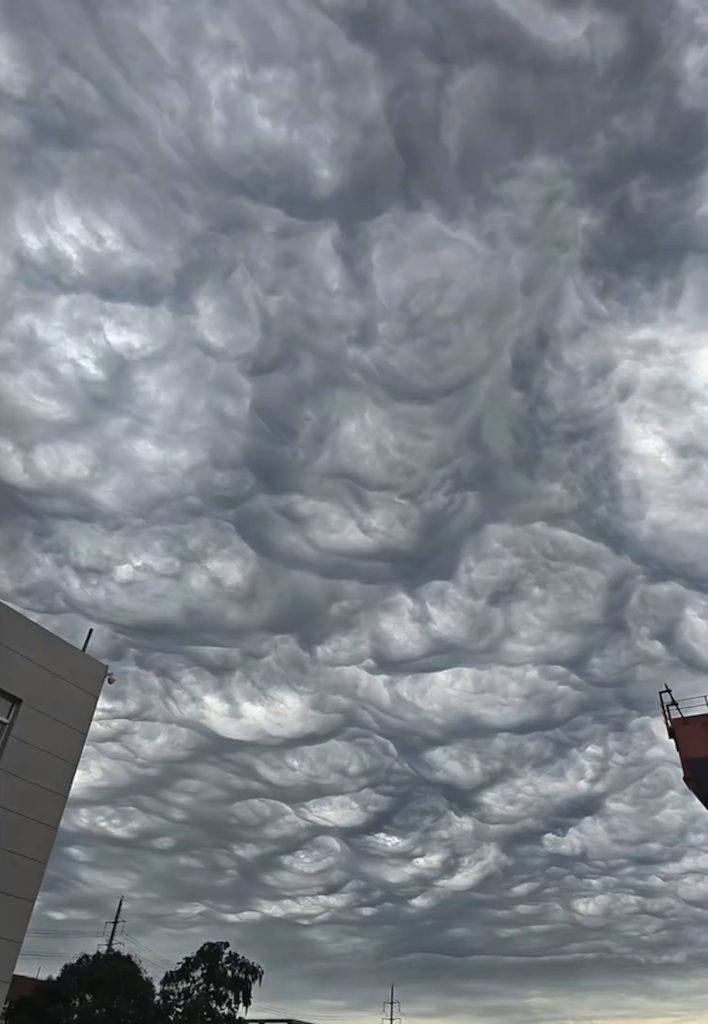 Rare natural events strike China with hail in Beijing, frogs in Tianjin ...