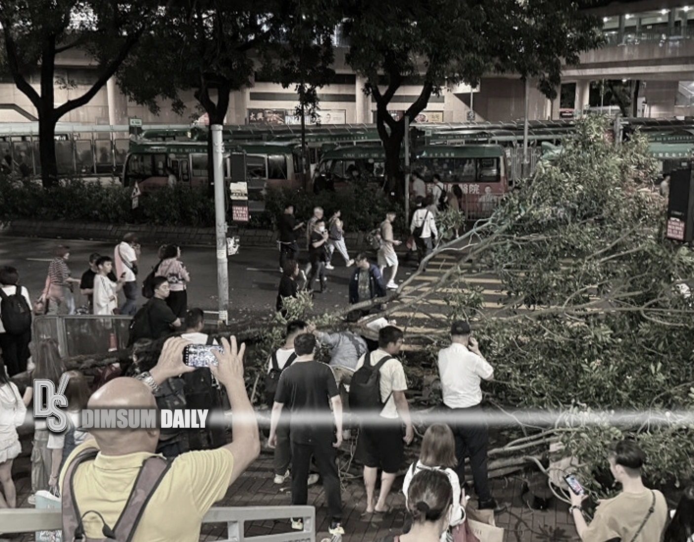 Tree collapse at MTR Sheung Shui Station injures 4 individuals