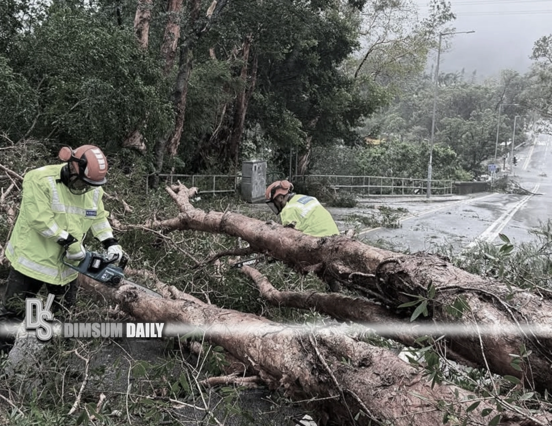 82 injured and widespread damage as Typhoon No. 8 Signal persists