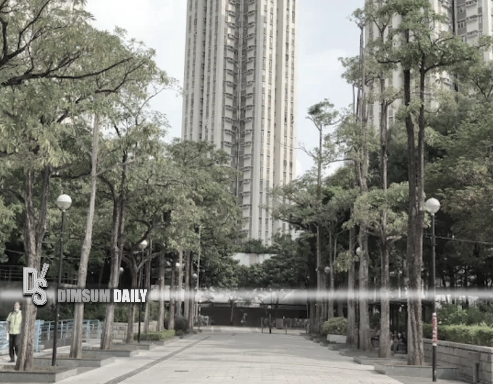 Tree collapse at Tai Po Central Town Square injures man