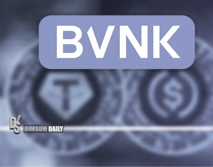 Citi Ventures invests in stablecoin infrastructure firm BVNK as major banks embrace digital assets