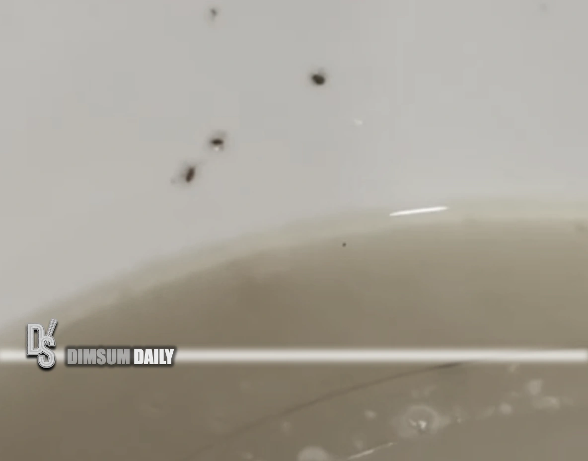 Diner discovers insects in takeaway noodles bought from Tai Po eatery