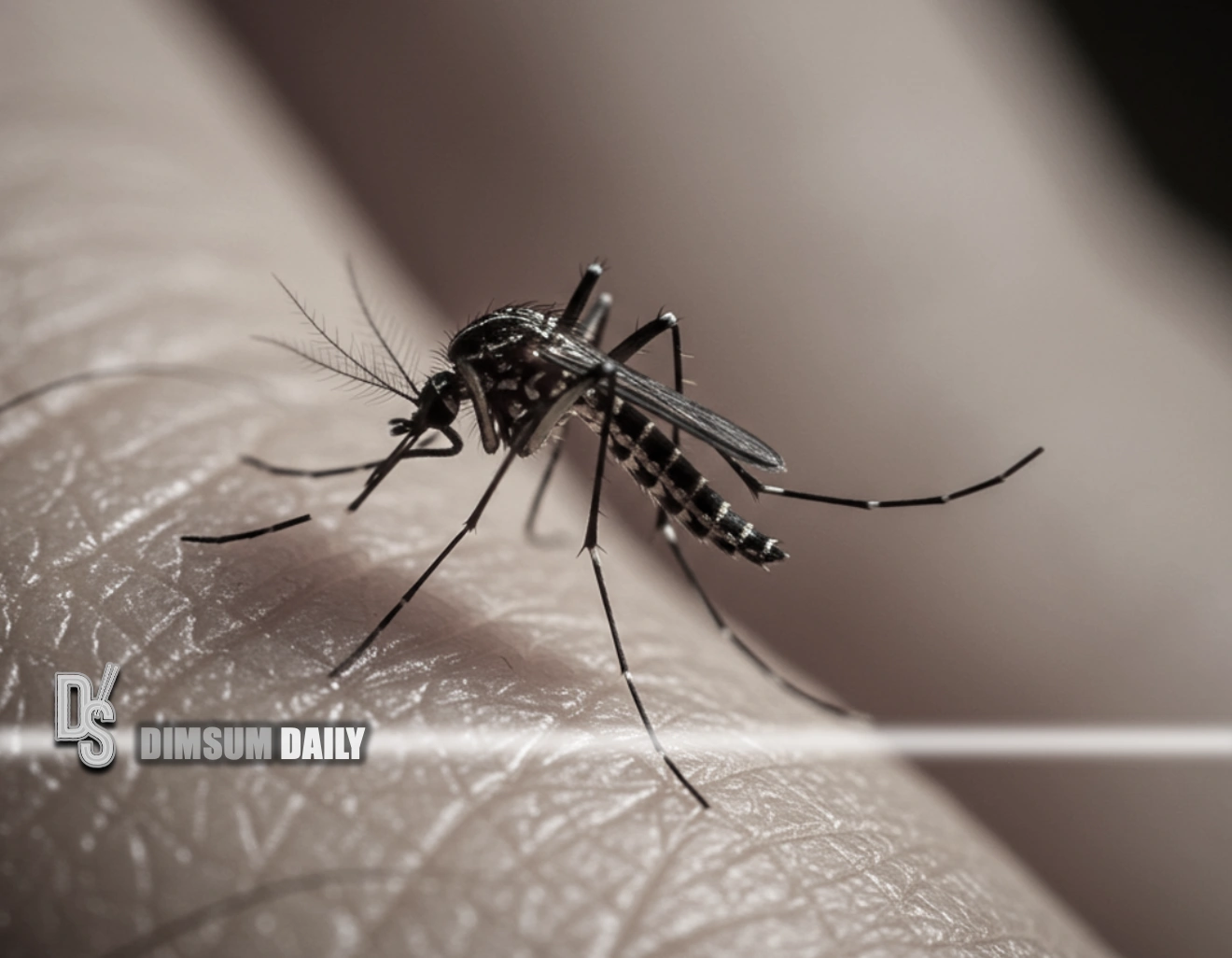 Hong Kong records two imported Chikungunya cases with Guangdong travel ...
