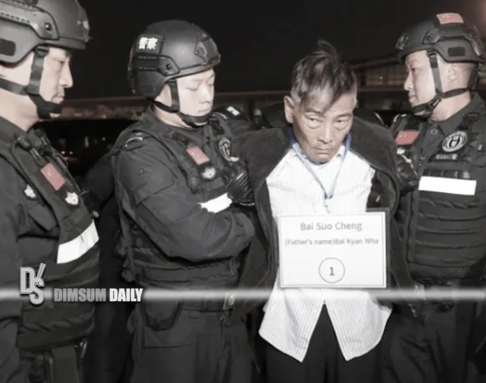 Shenzhen court hands death sentences in case against northern Myanmar ...