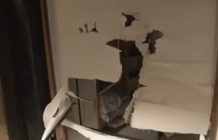 Japan’s bear crisis deepens as sightings surge and fatalities hit ...